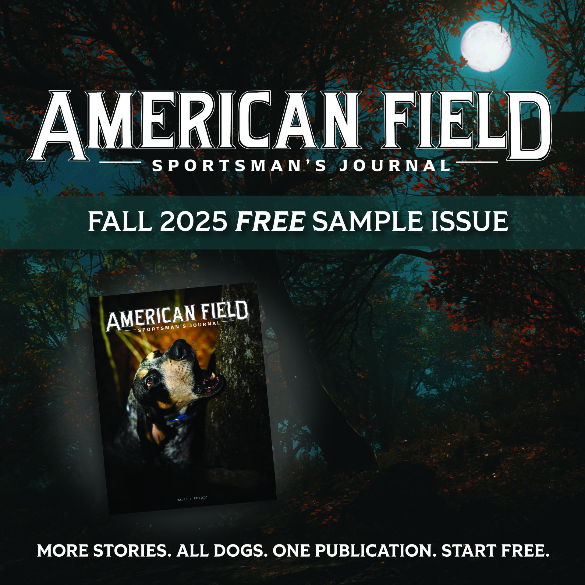 Subscribe to American Field Sportsman’s Journal – American Field ...