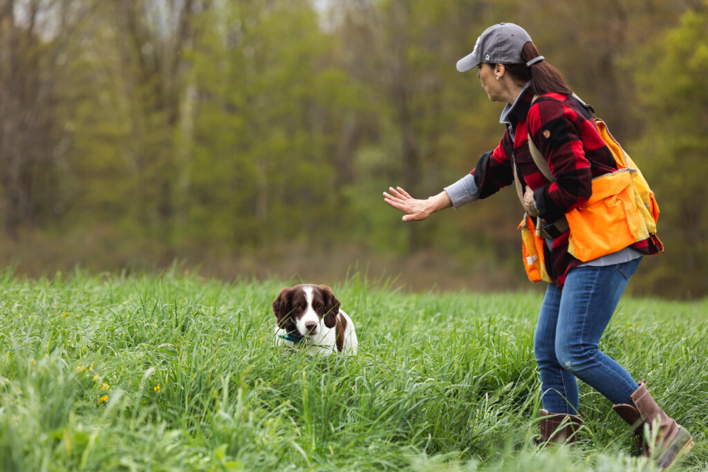The Great Canine Debate: Comparing Male and Female Dogs – American Field